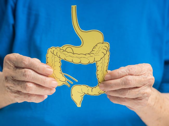 Znáte rozdíl mezi gastritidou a gastroenteritidou? - mastichashop.cz