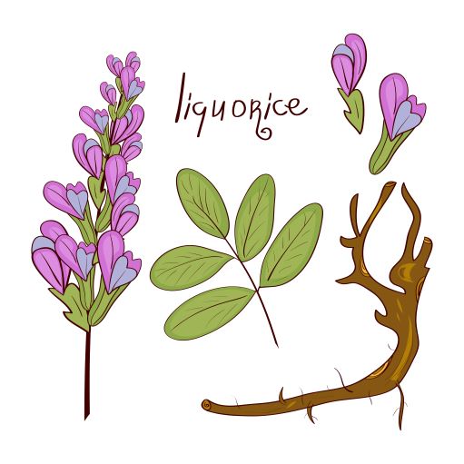 Lékořice potěší chutí i zdravím